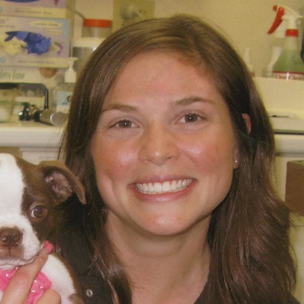 Veterinarians | Porter Square Vet